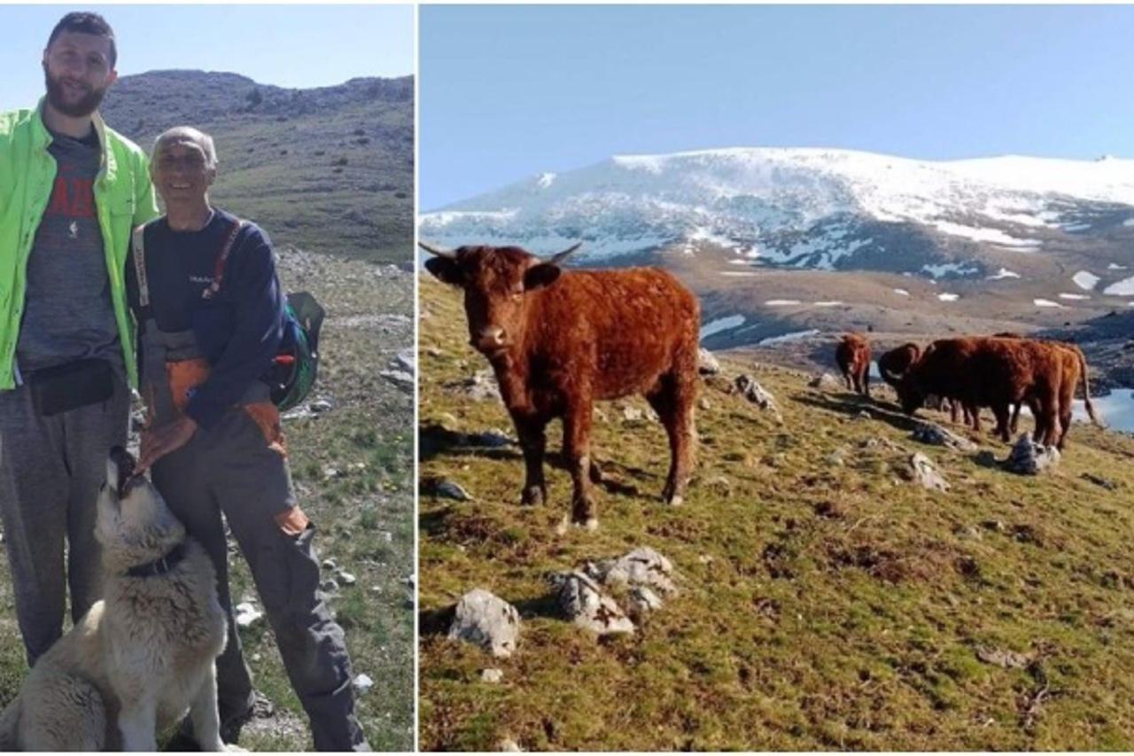 IT sektor i Ameriku zamijenio BiH! Otvorio farmu u planini, mušterija ...